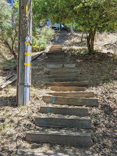 Volunteers From Ages 13 to 96 Clean Up Berkeley Paths — Berkeley Path ...