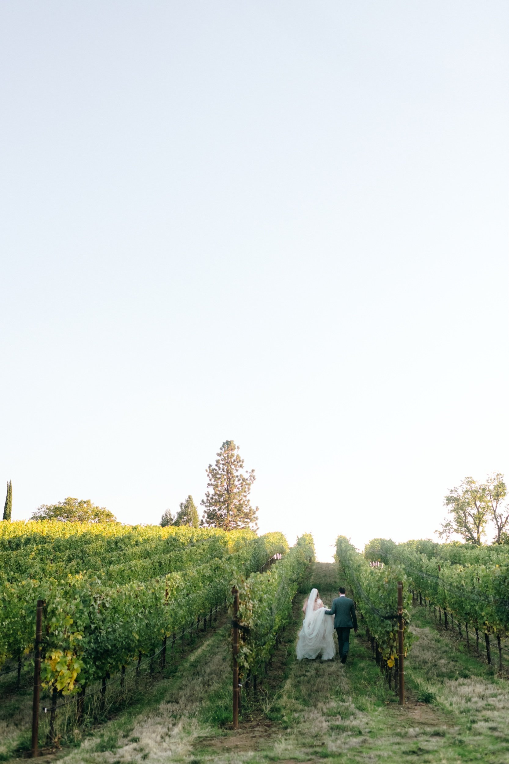 Rachel Dale Photography- Oregon Portrait and Wedding Photographer