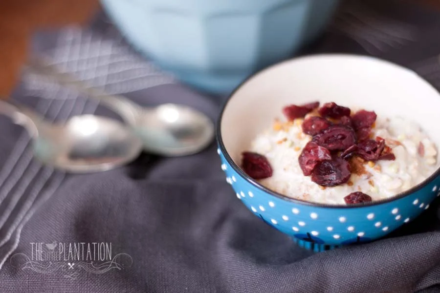 GOLDILOCKS'S RAW VEGAN PORRIDGE (V+, R, GF, NF, V, CHF) — a vegan food ...