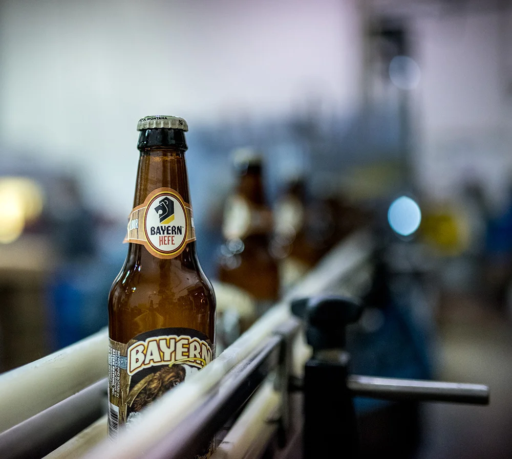 Bayern Brewing
