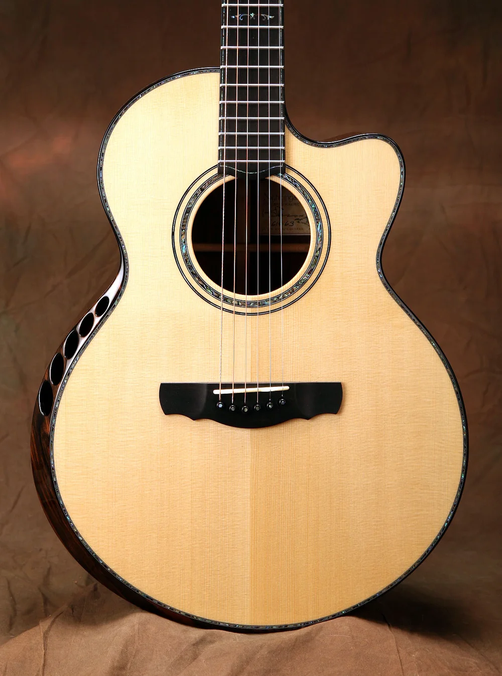 Design Innovations — Ryan Guitars