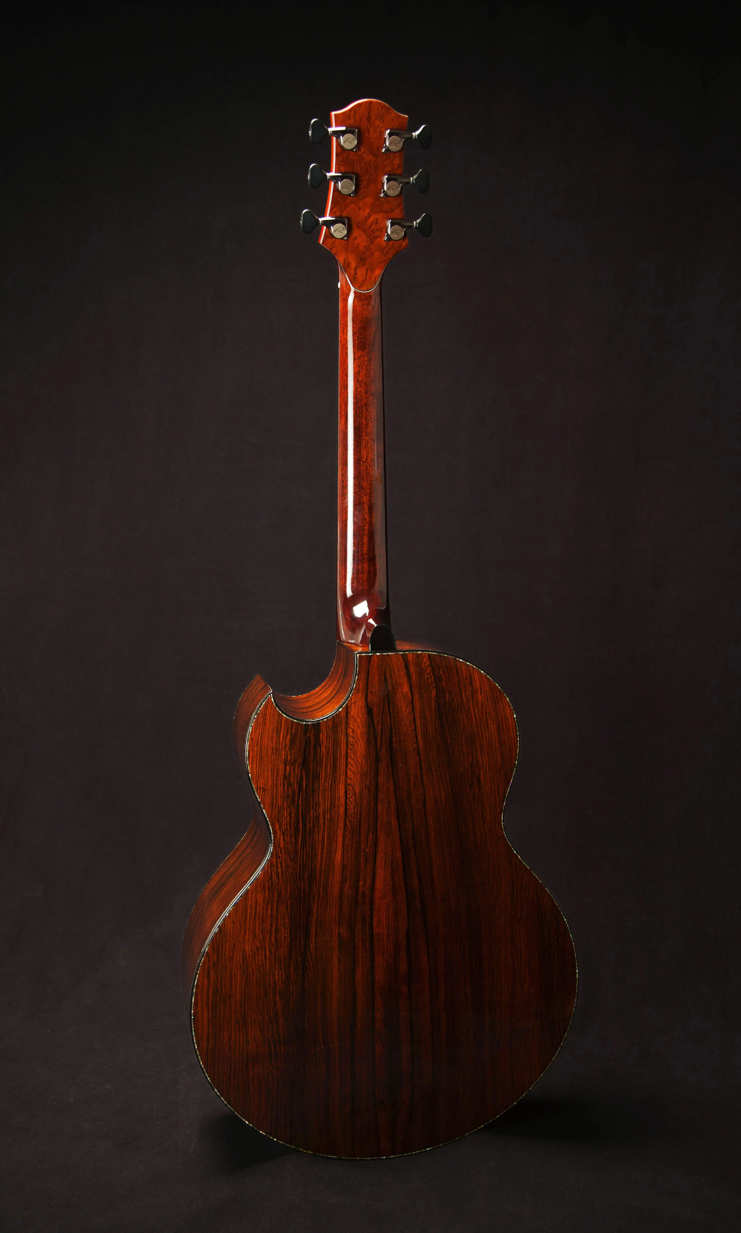 30th Anniversary Series — Ryan Guitars