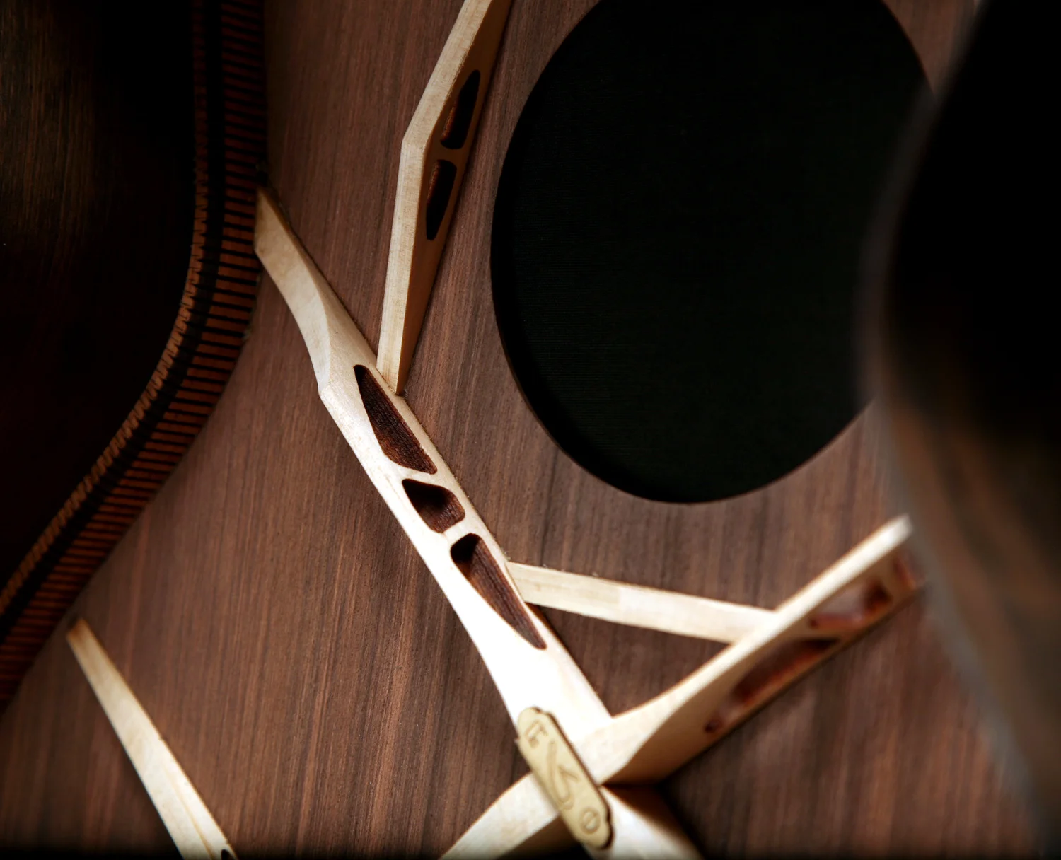 10-String Guitars — Ryan Guitars