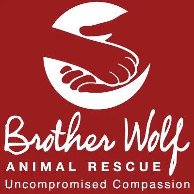 giving to the community — Jenny to the rescue