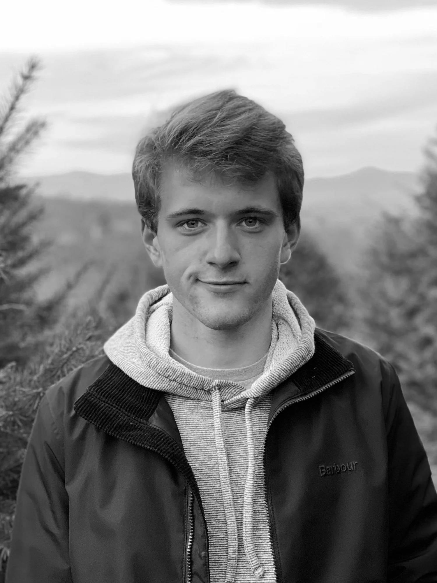 Portfolio Monitors — DIPP