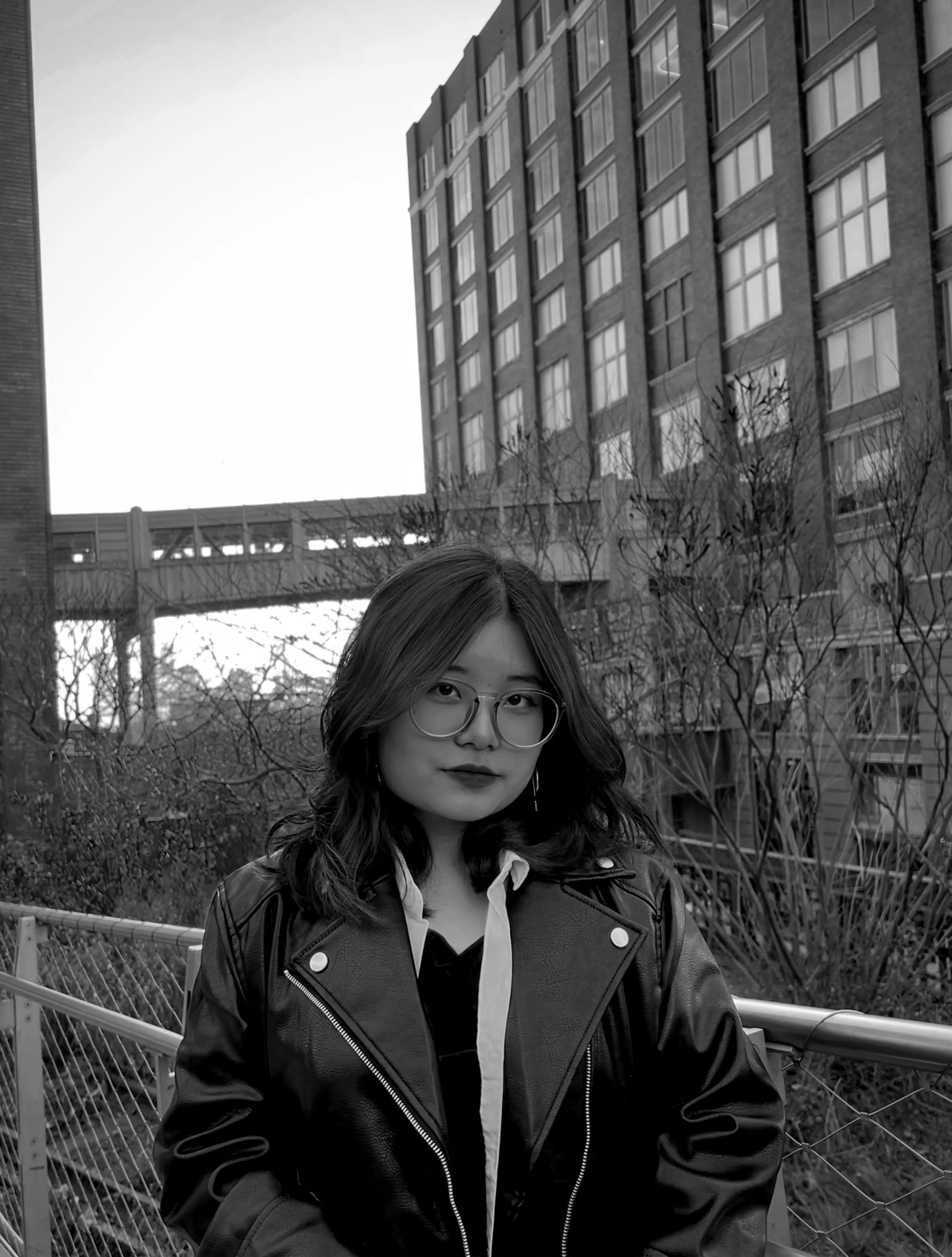 Portfolio Monitors — DIPP