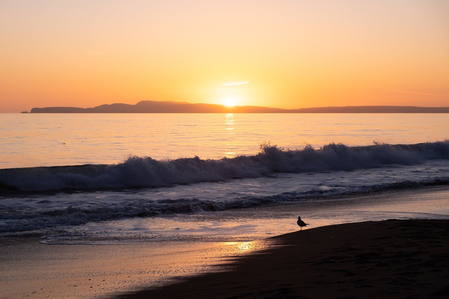 Backpacking in Point Reyes: Coast Camp and Secret Amphitheater