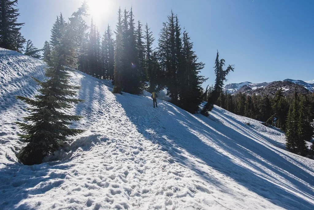 Winter Meets Spring at Lake Aloha