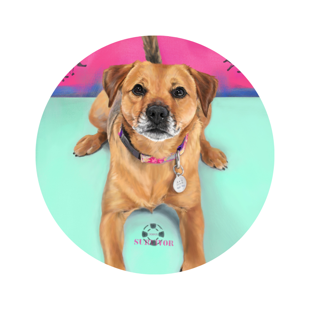 TESTIMONIALS — Susannah Nathanson