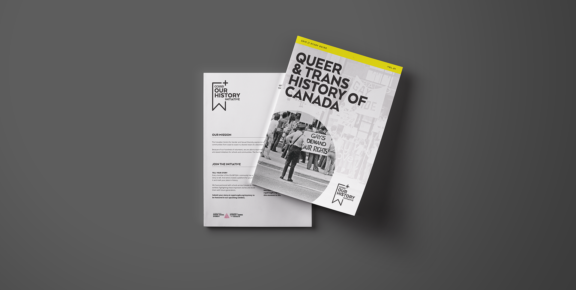 The Canadian Centre For Gender And Sexual Diversity — Josh Tesoro