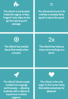 Guided Masturbation & Other Learning Tools — Lola Jean : No Frills Sex ...