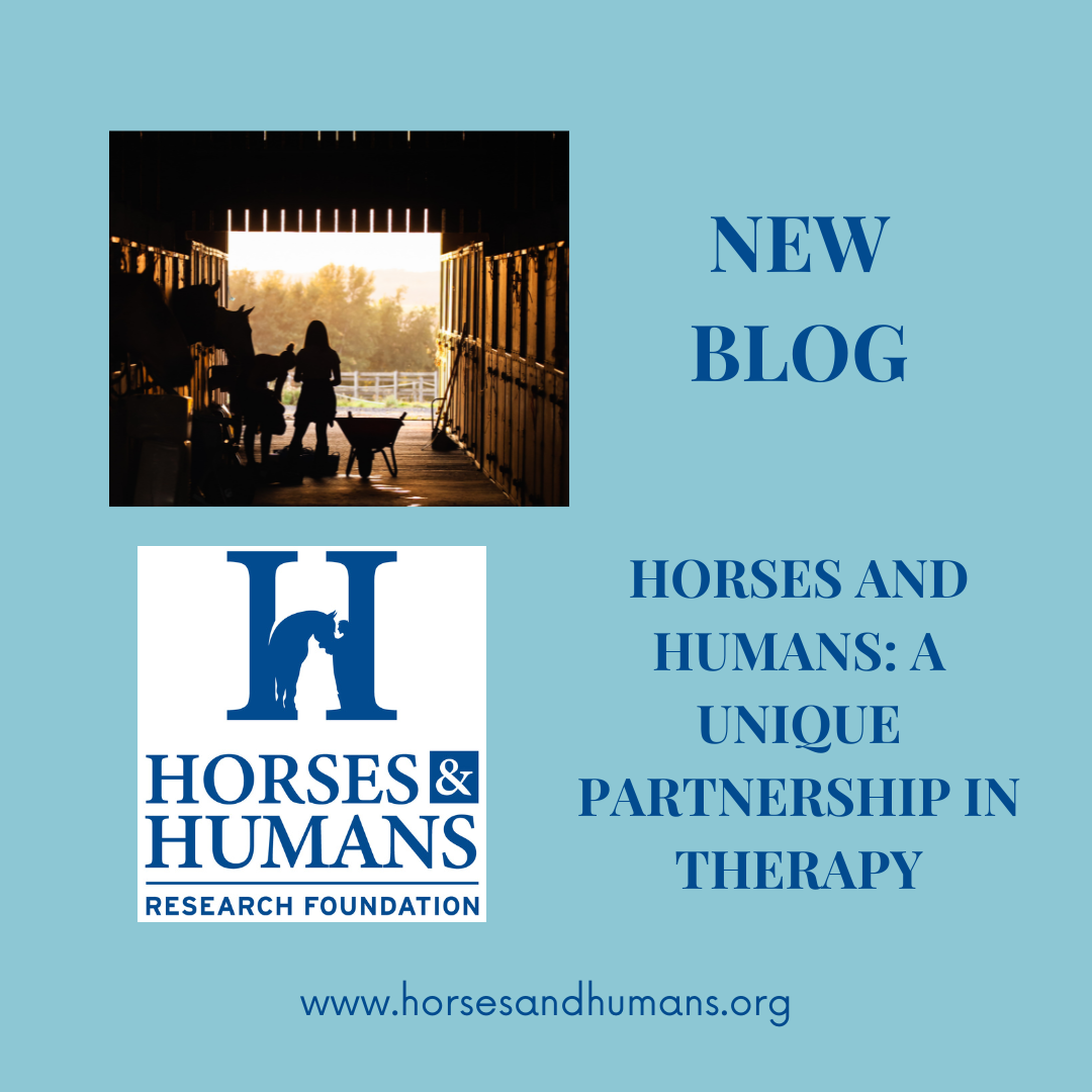 Horses and Humans: A Unique Partnership in Therapy by Kathleen Choe — HHRF