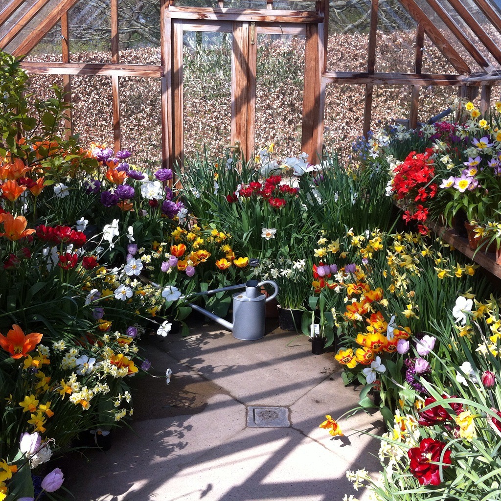 Services — Victoria Philpott Gardens