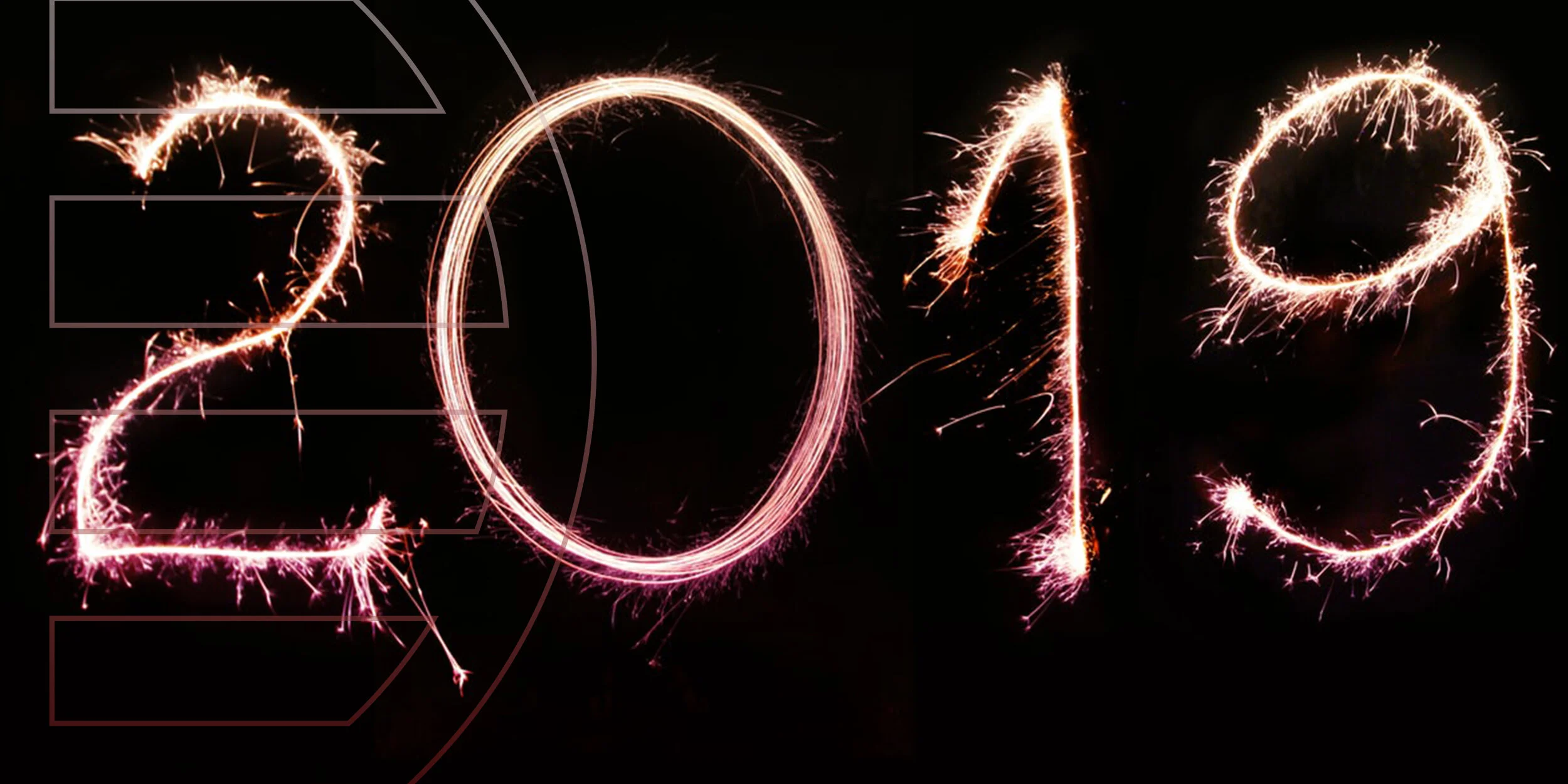 Reflection: 2019 — Feeding Curiosity