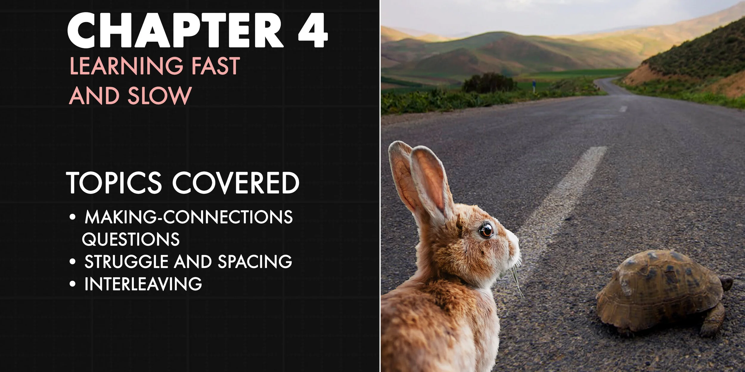 Chapter 4 - Learning, Fast and Slow | Range Blueprint — Feeding Curiosity