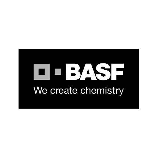 SASSO* | Branding & Advertising Agency :: Marketing, Digital, Websites ...