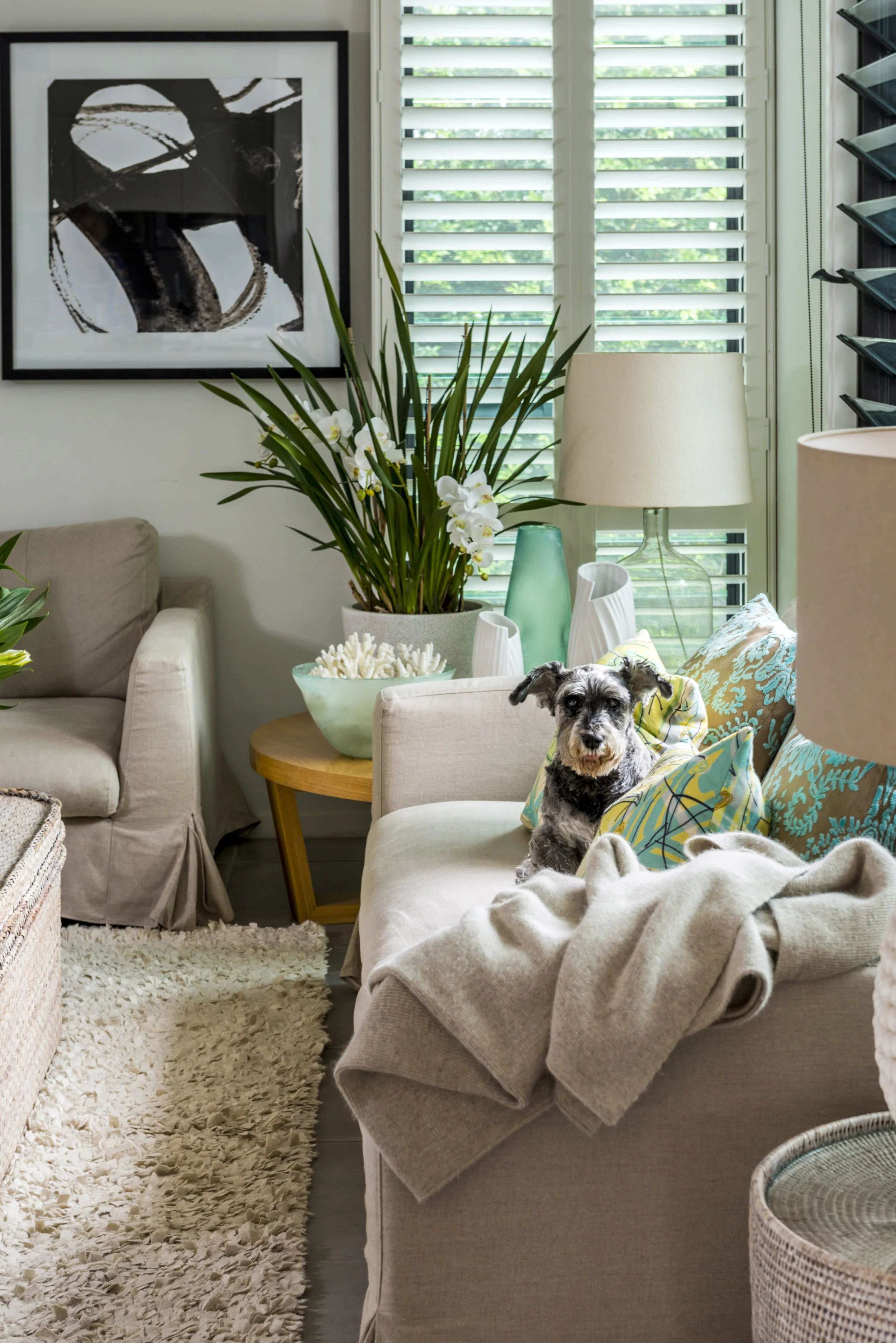 Signature Interior Design