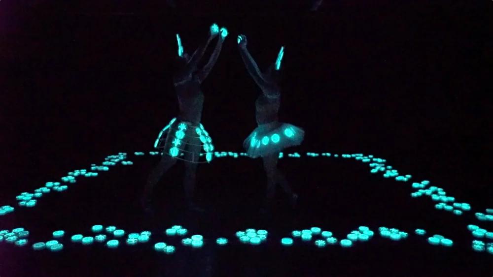 Hunter Cole: Dancing with Light — Plexus Projects