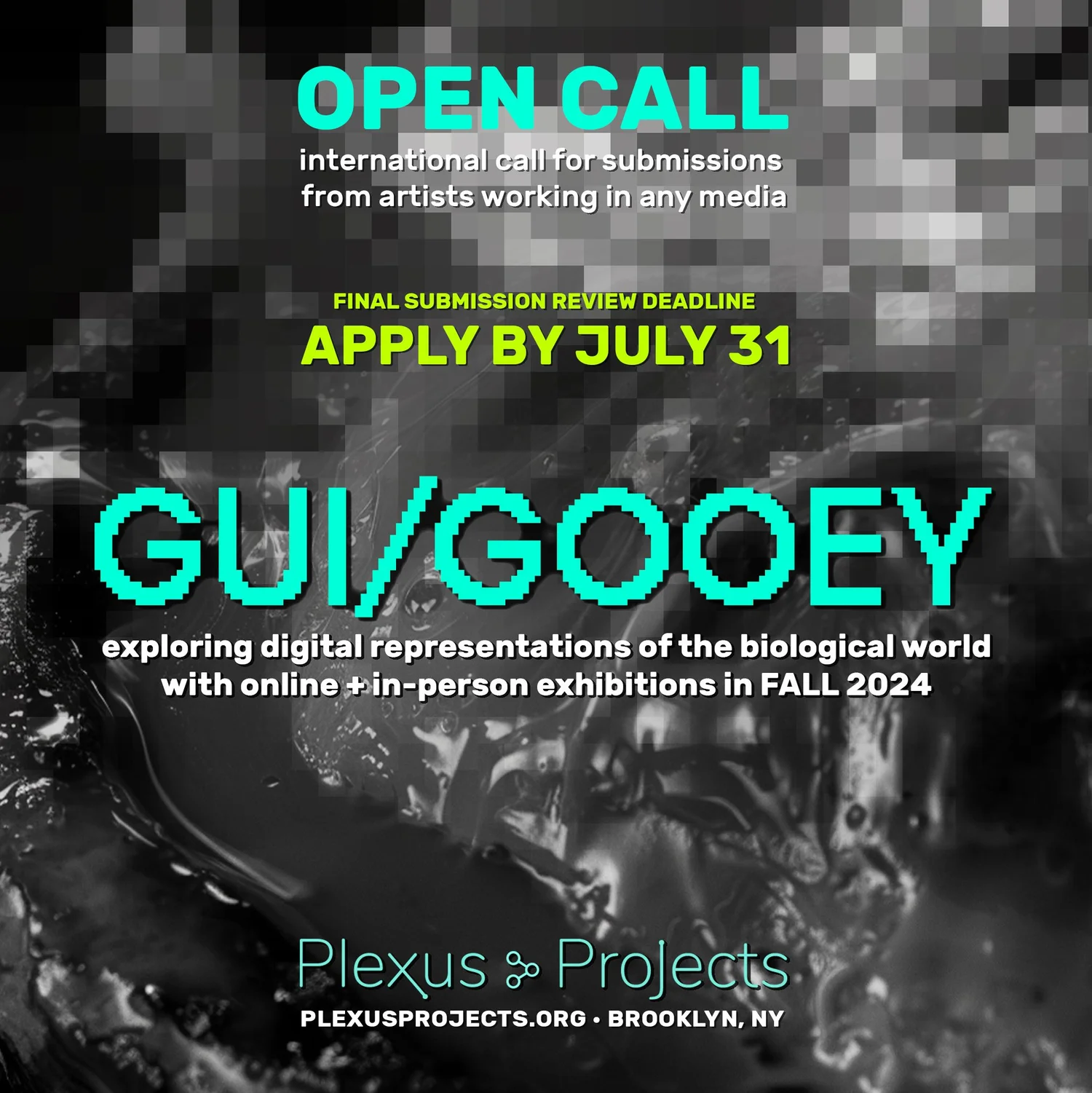 Open Call: GUI/GOOEY — Plexus Projects