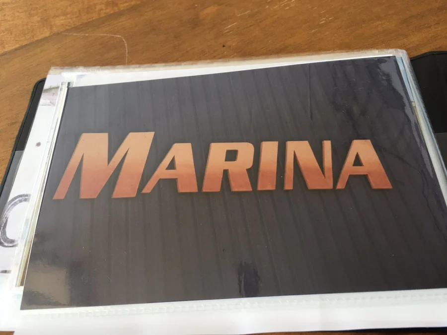 The Nester's Name — Ginger writes.