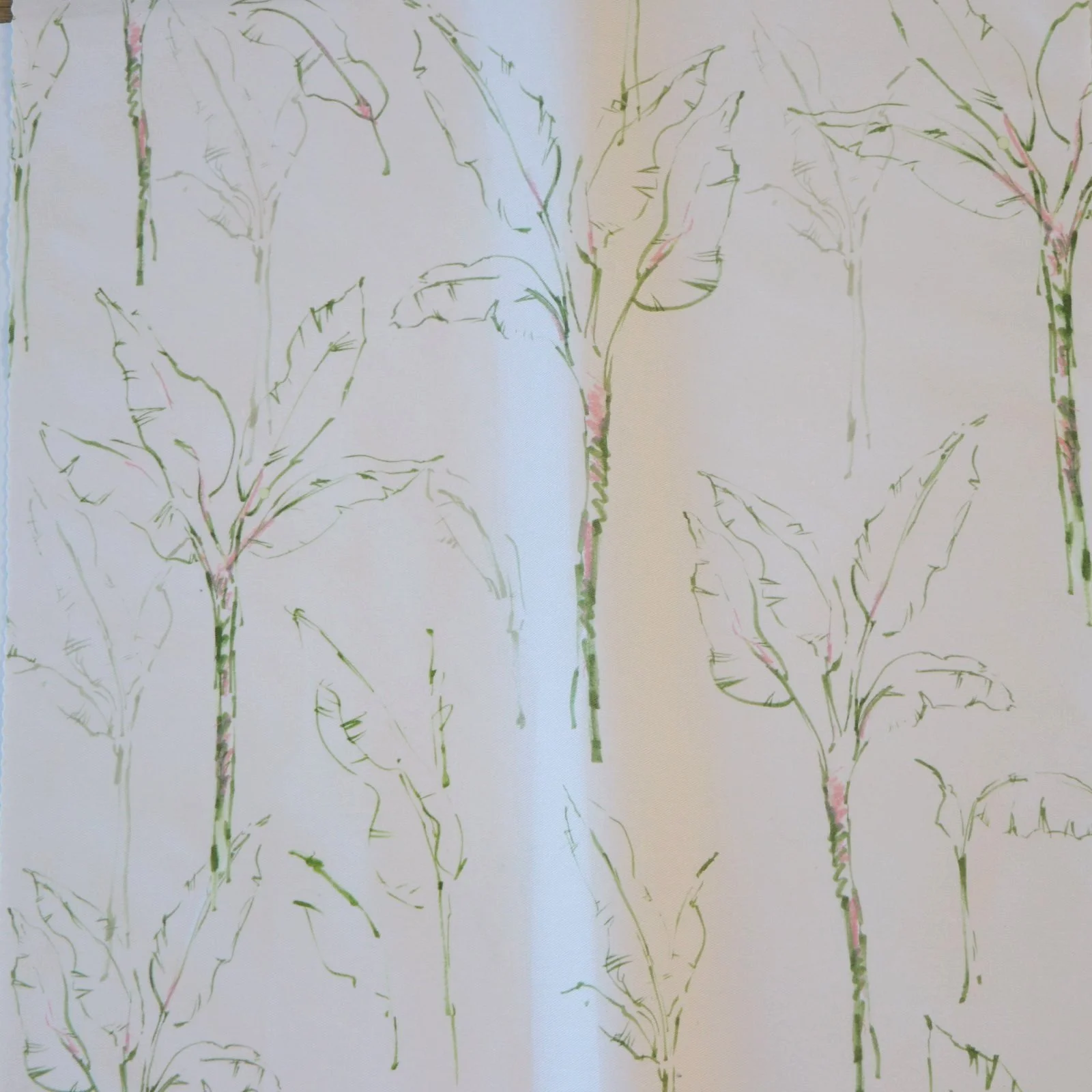 Tropical Paradise-Fresh White and Pink Dream — Seed Home Designs