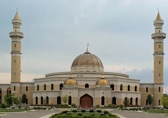 Stories — Muslim Youth of North America