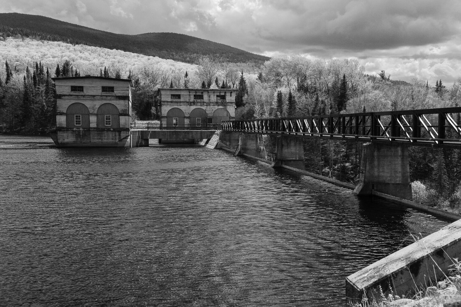 Latest — MHTurnerPhotography