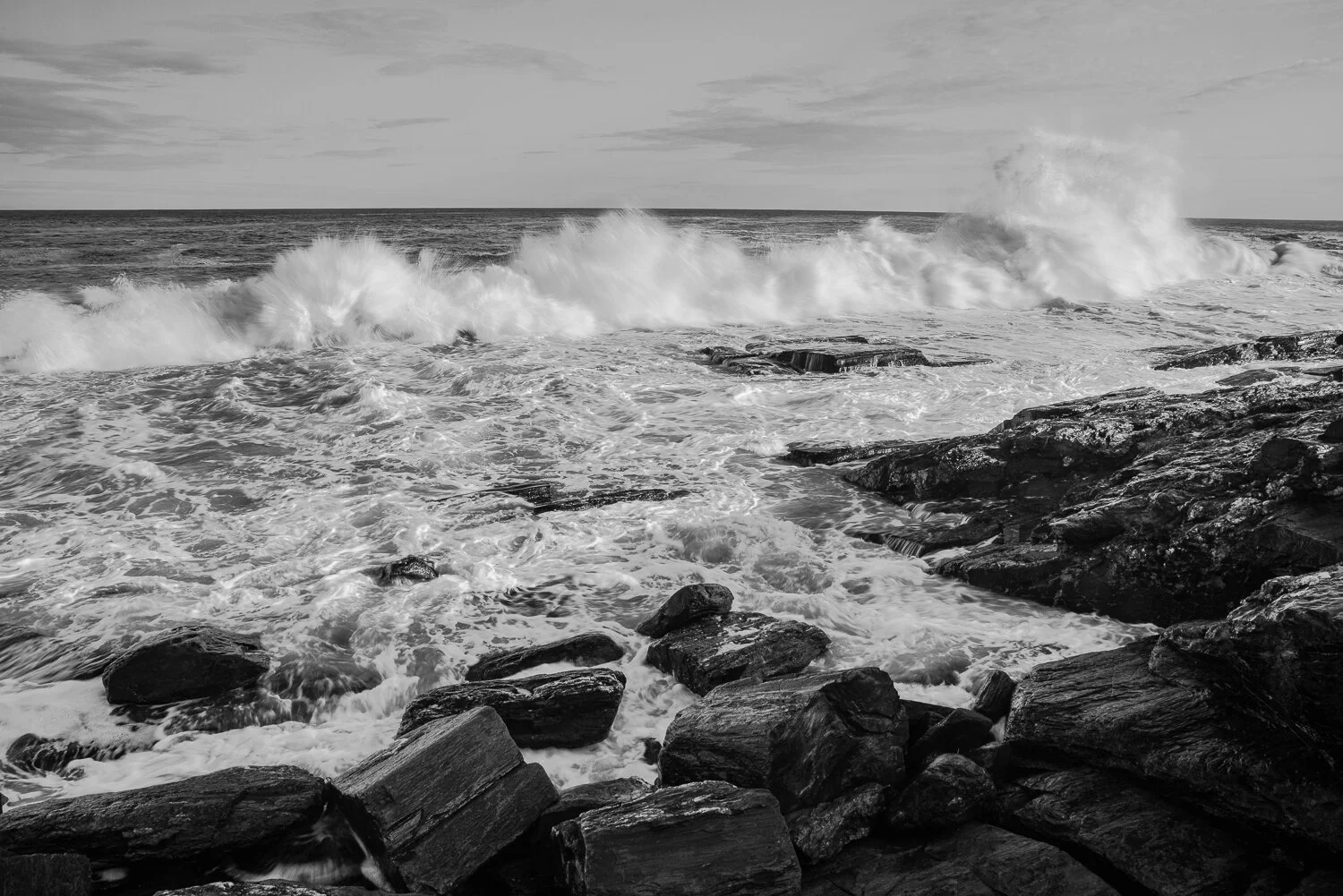 Latest — MHTurnerPhotography