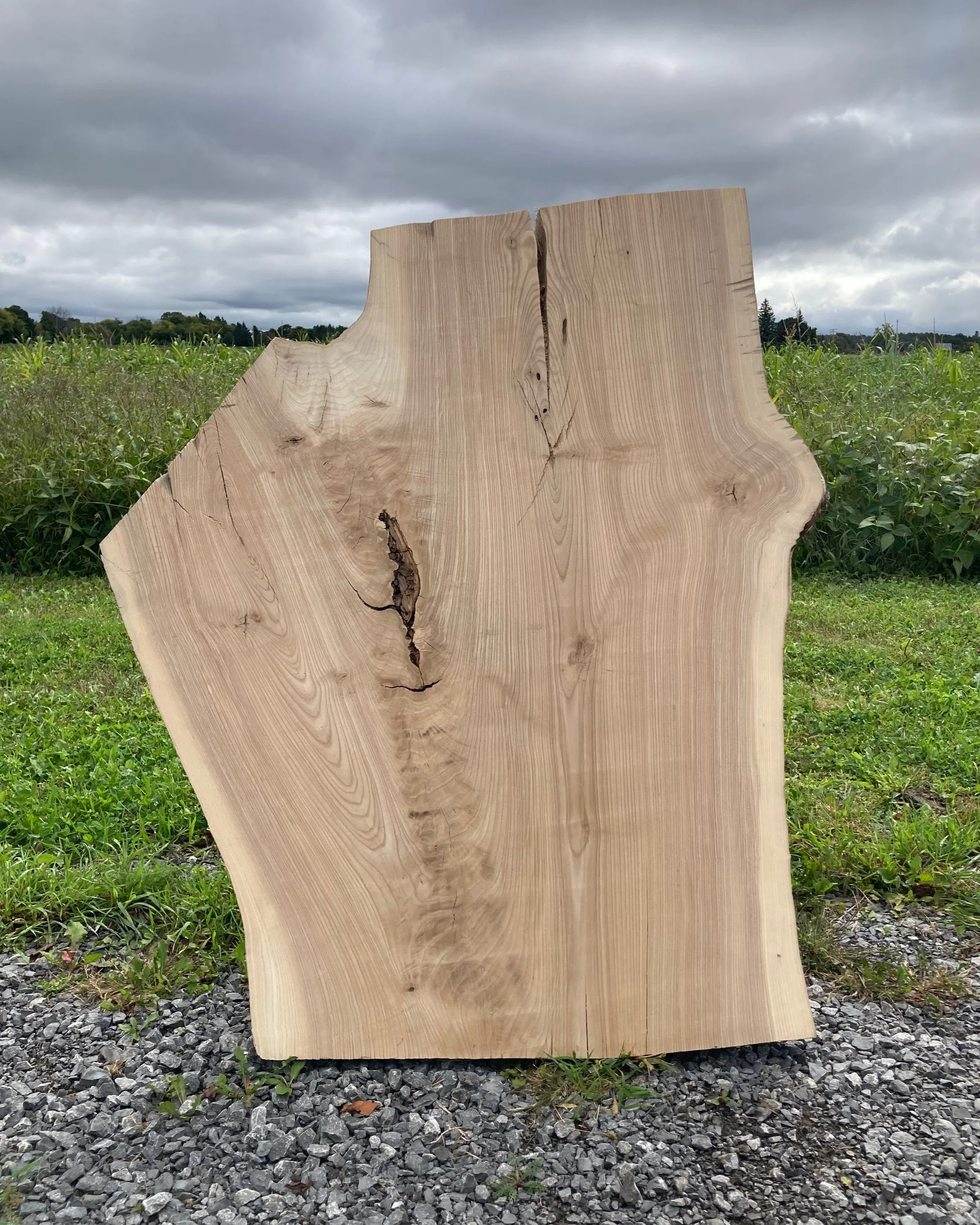 Capital Timber Company-Ottawa Live edge