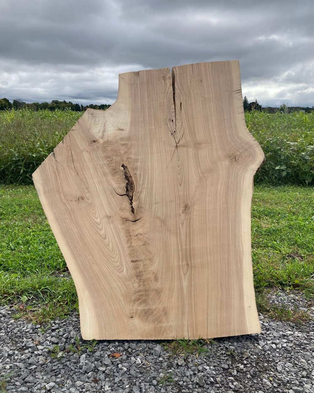 Capital Timber Company-Ottawa Live edge