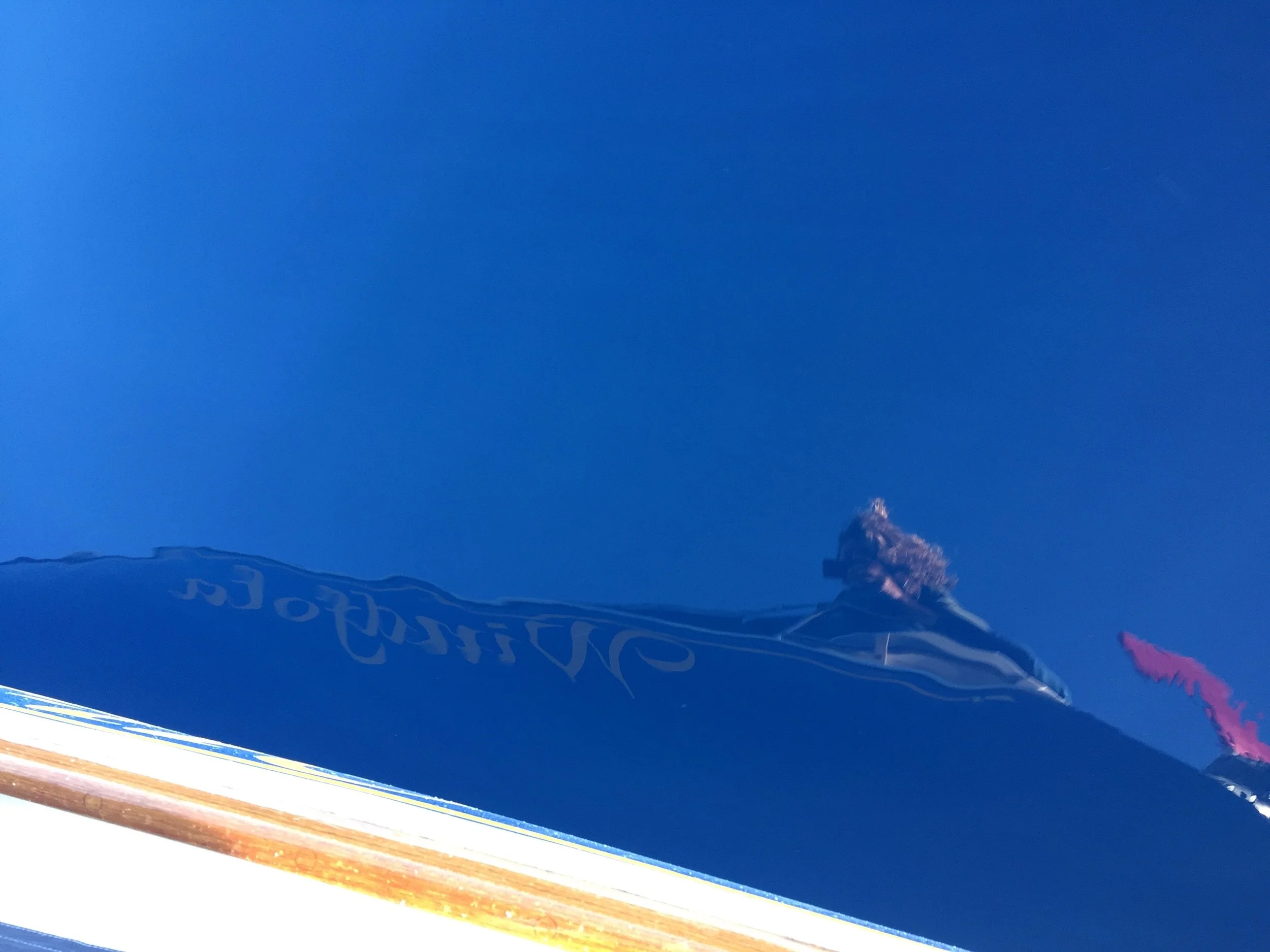 Reflections In 12 852 Feet Of Water Peregrina Sails reflections-in-12-852-feet-of-water-peregrina-sails