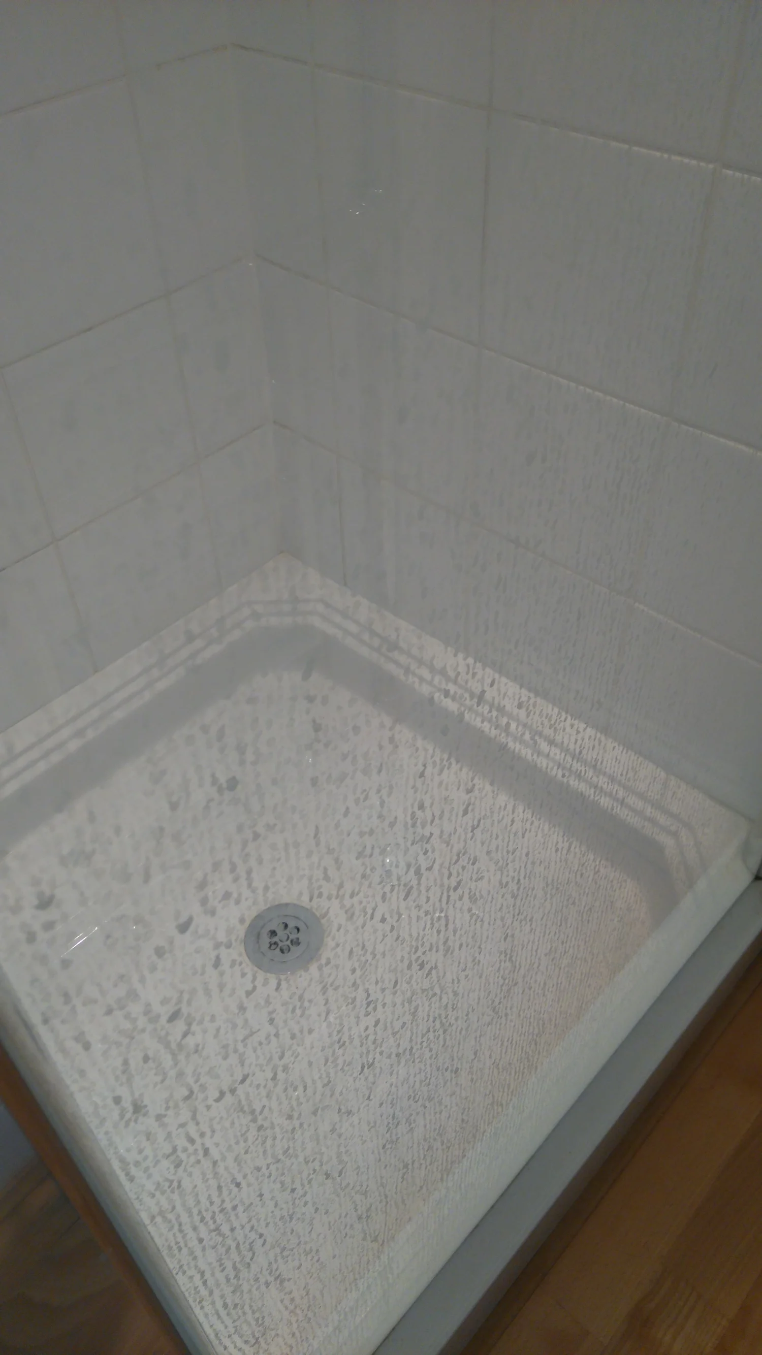 HOW TO KEEP A SHOWER CLEAN IN A FEW EASY STEPS — Help Our Home