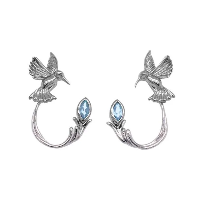 The meanings of Butterflies, Dragonflies, Hummingbirds and Herons ...