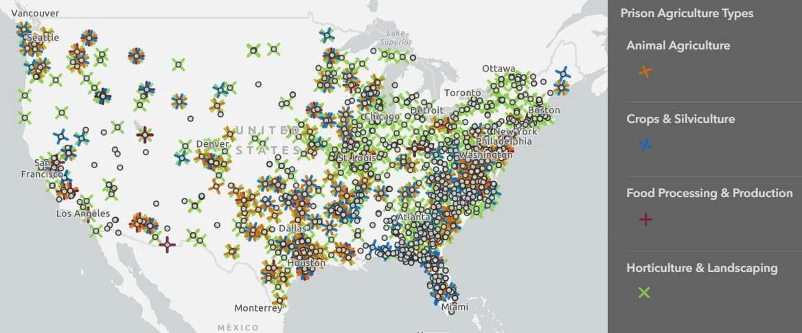 Worth Rises — Prison Farms: Former Plantations, Dangerous Conditions ...