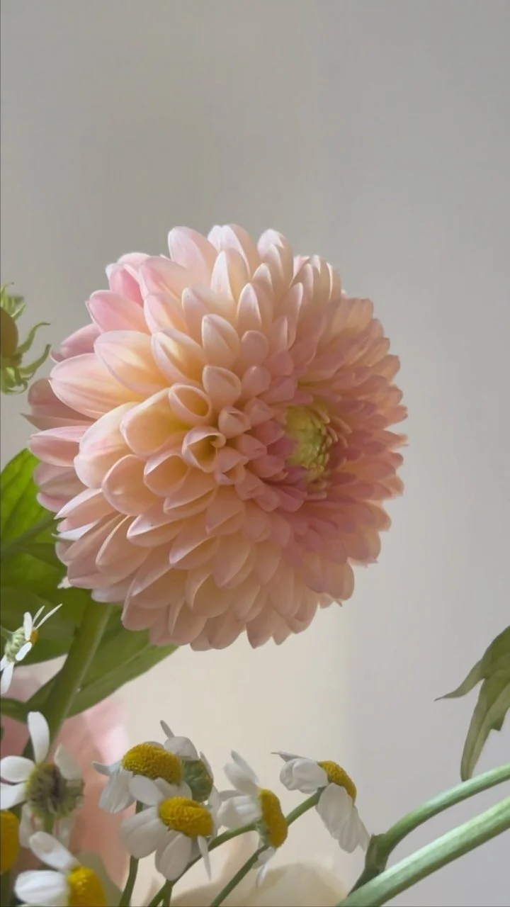 Foster's Flower Shop-HOME