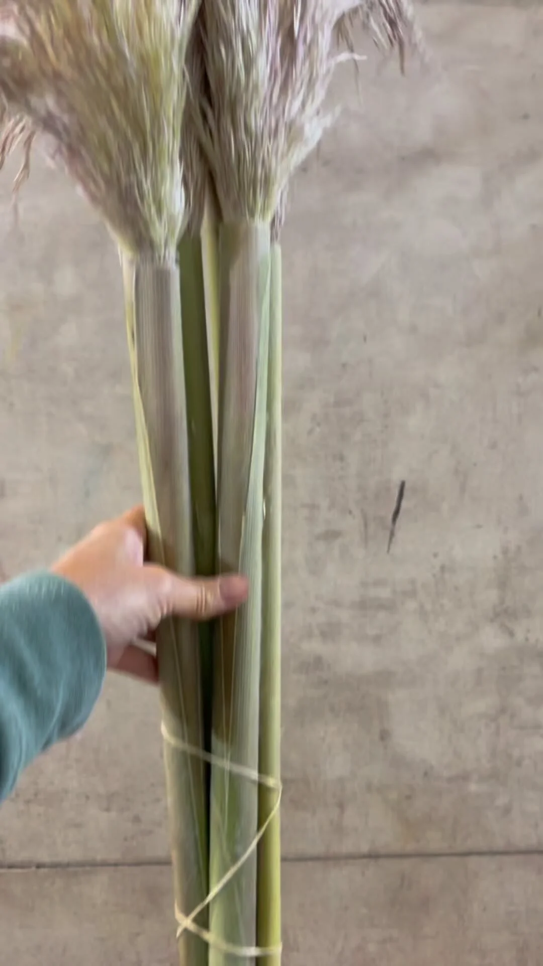 Foster's Flower Shop-HOME