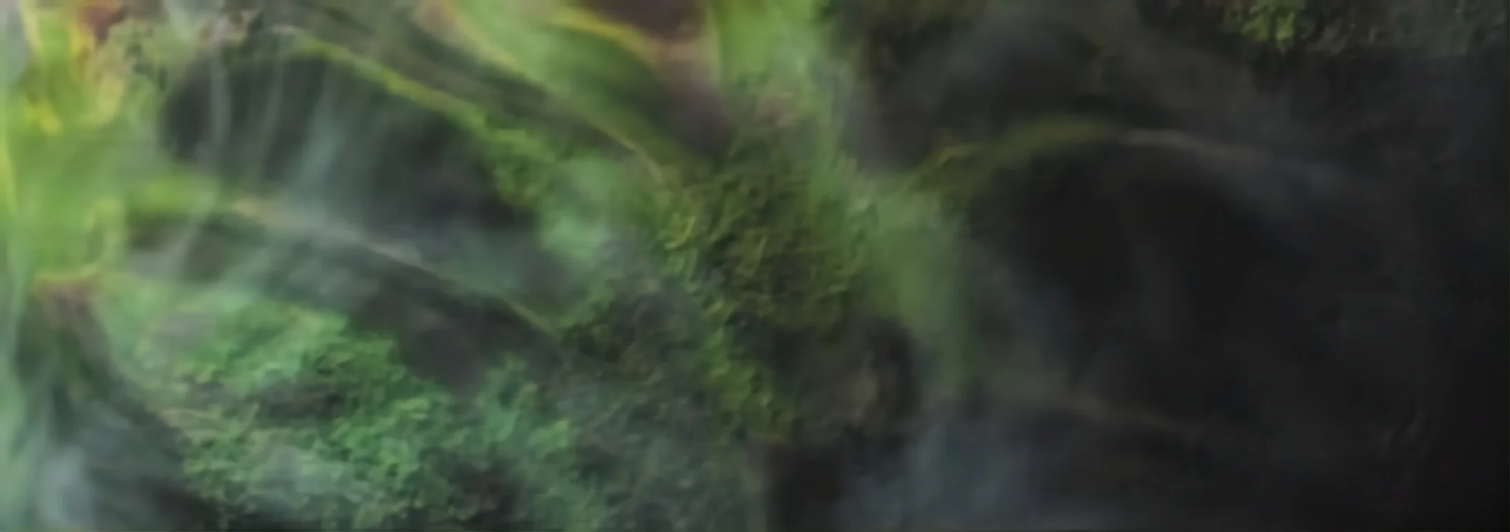 Palamok • Halo Evolved