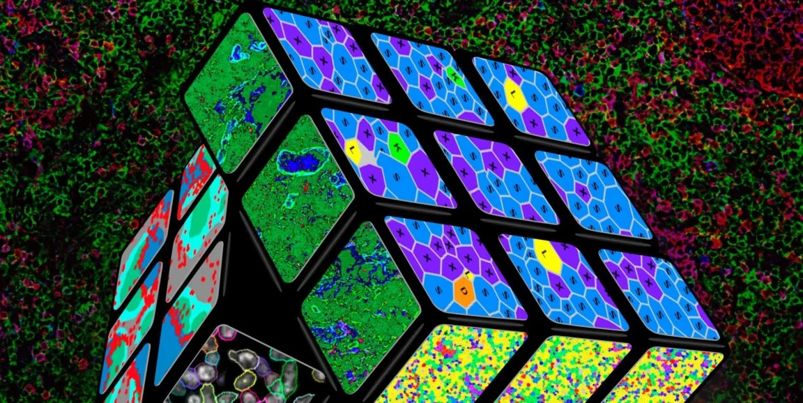 Garry Nolan's CODEX technology provides a better understanding of cells ...