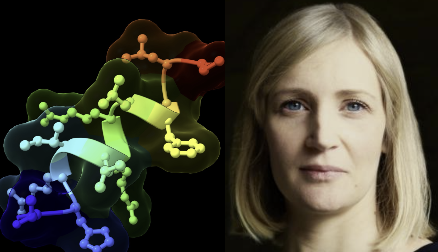 SDRC News — Stanford Diabetes Research Center