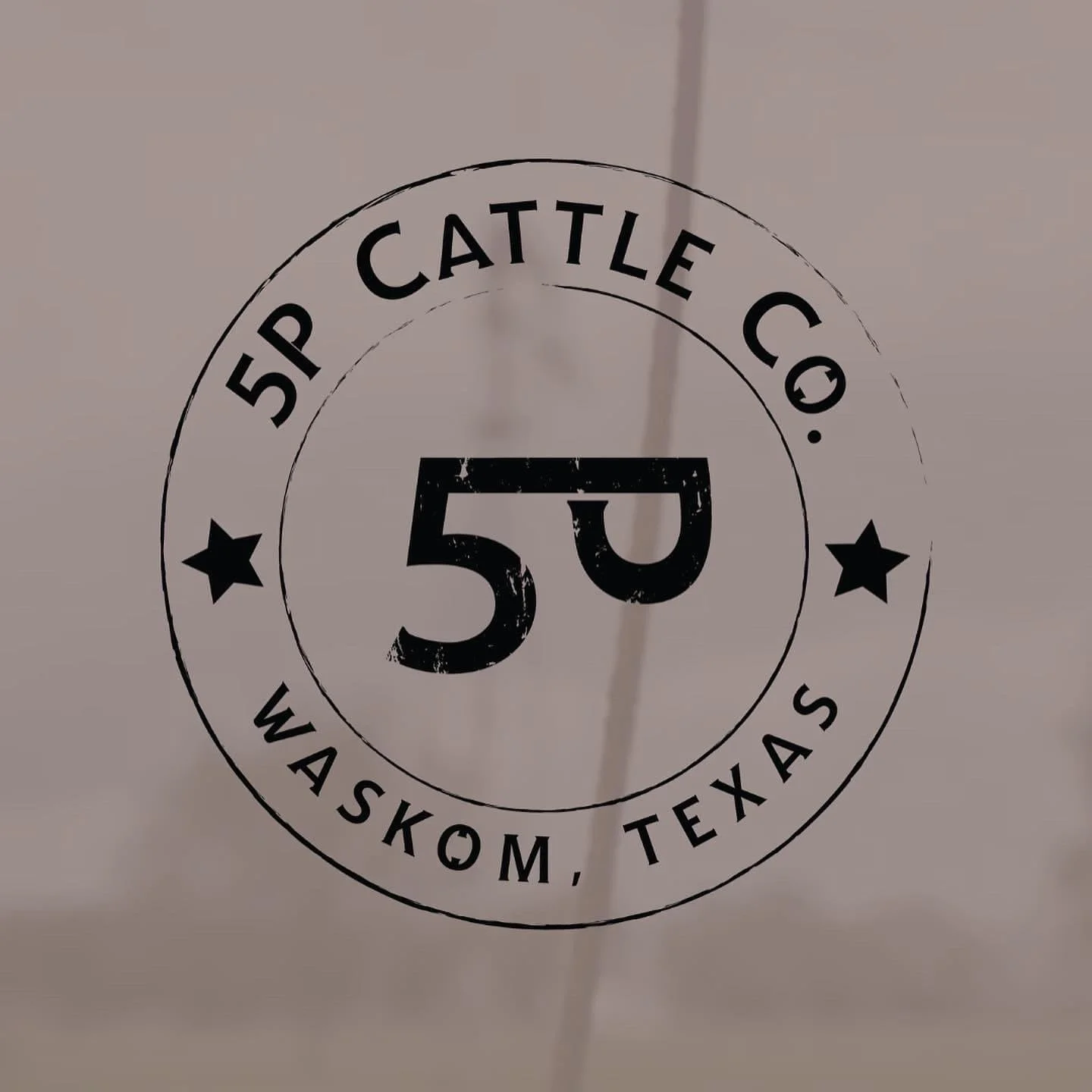 Anchor Brand Cattle