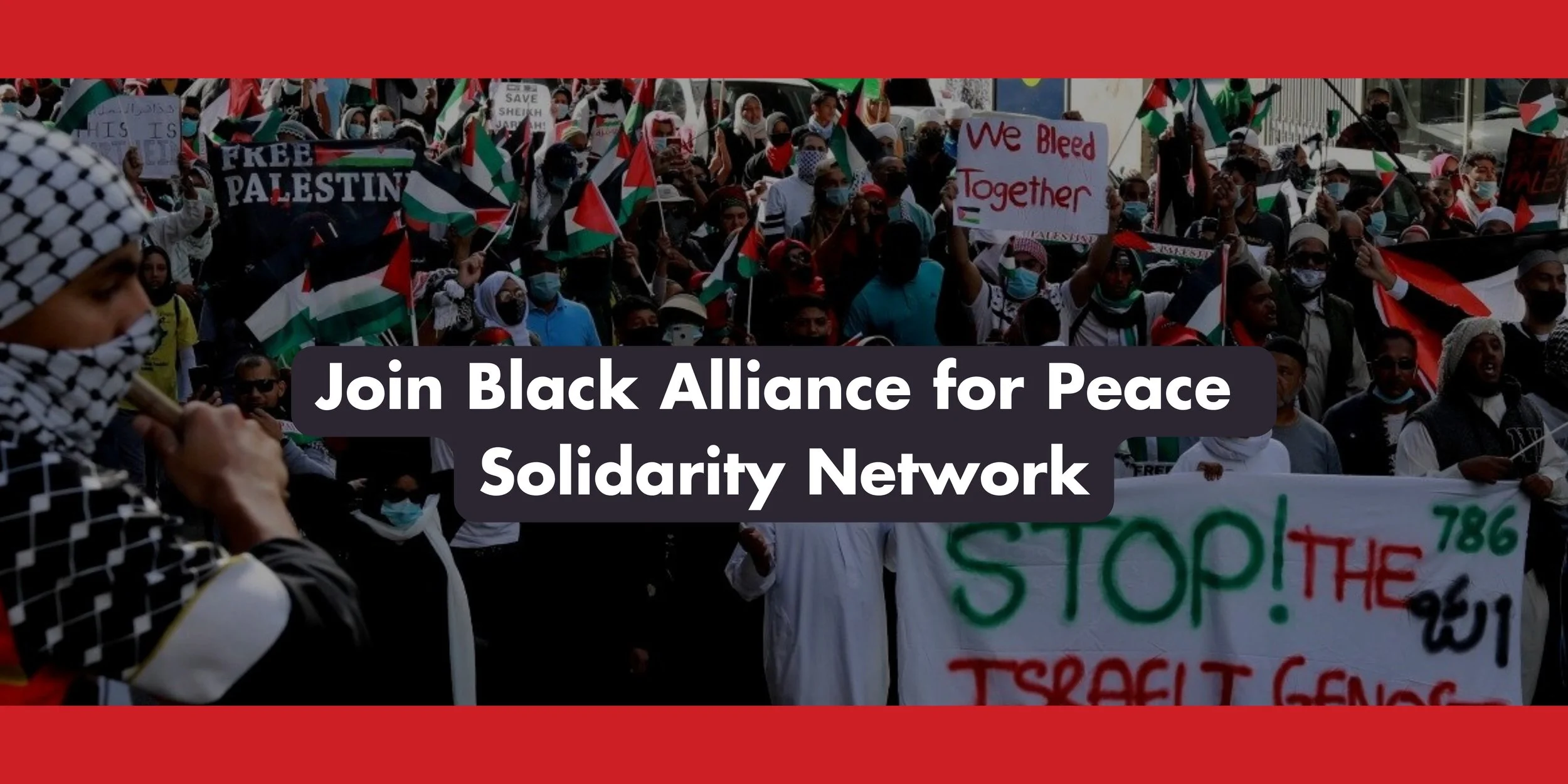 Solidarity Network — The Black Alliance for Peace