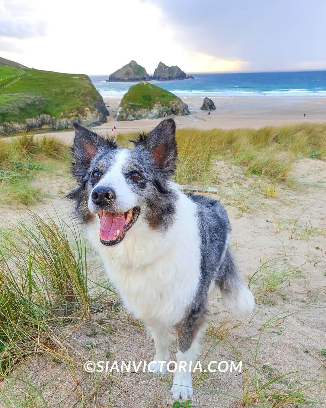 8 Best Beaches to Visit This Summer in Cornwall, England — Sian Victoria.