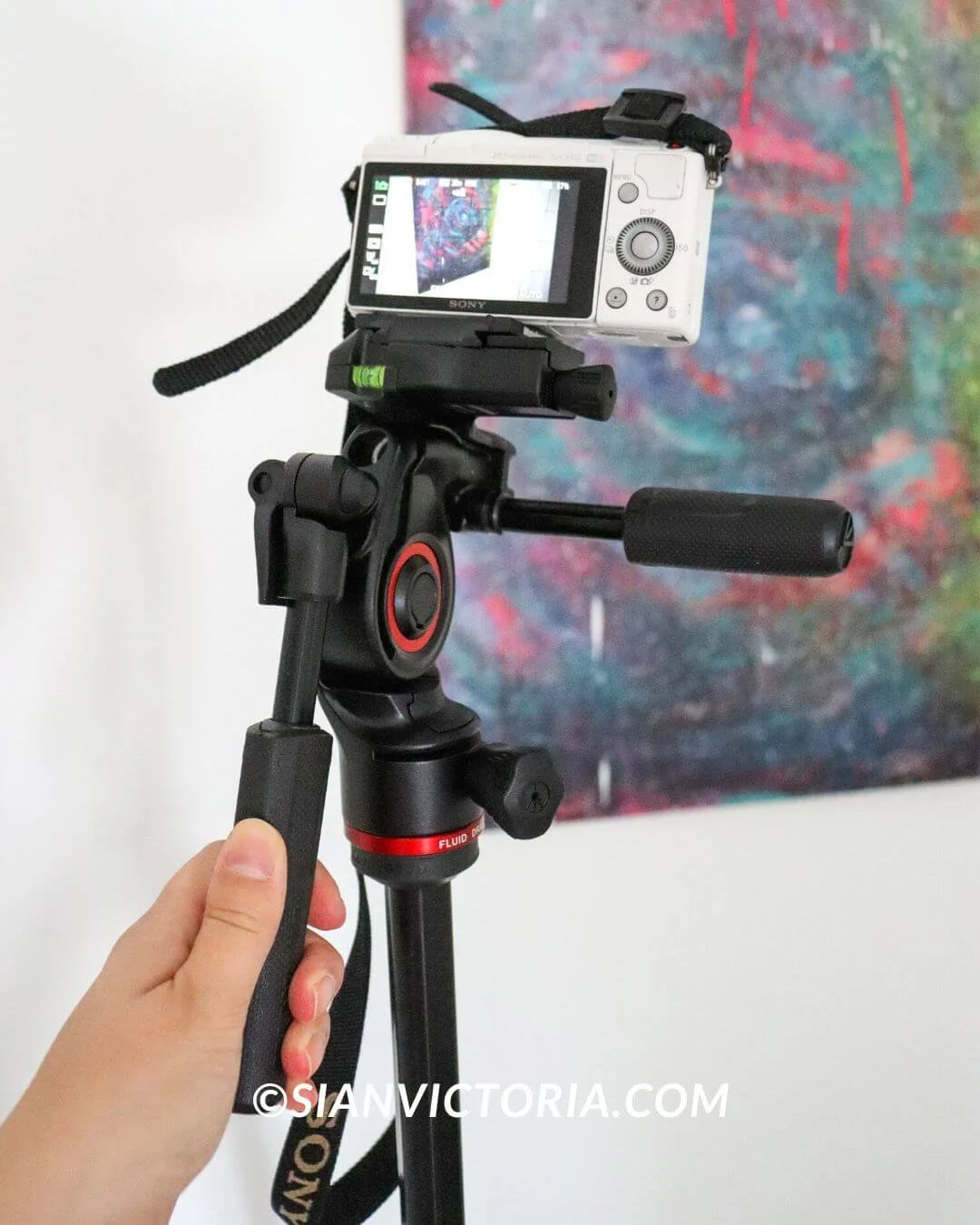 7 Best Photography & Video Equipment for Content Creators — Sian Victoria.