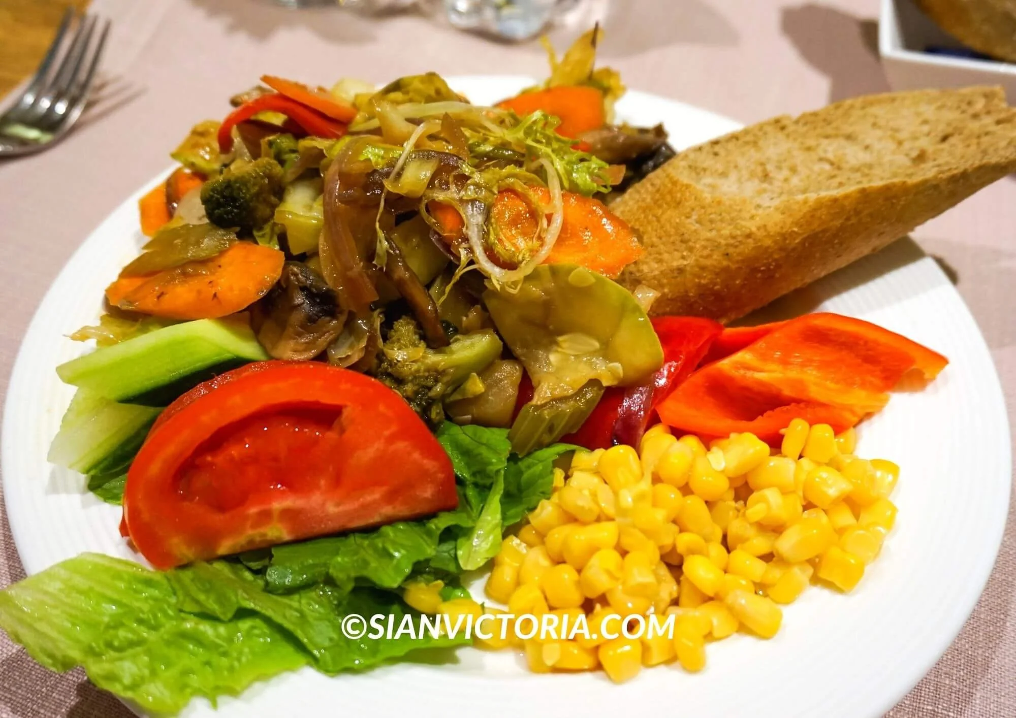 4* Teleferic Grand Hotel, Brasov Ski Resort Review — Sian Victoria.