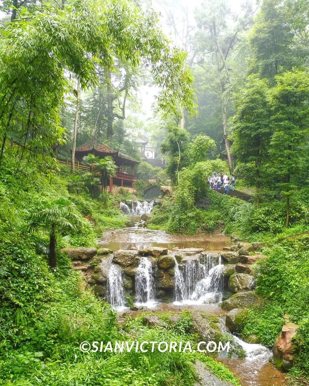 Market & Museum of Contemporary Art, Chengdu — Sian Victoria.