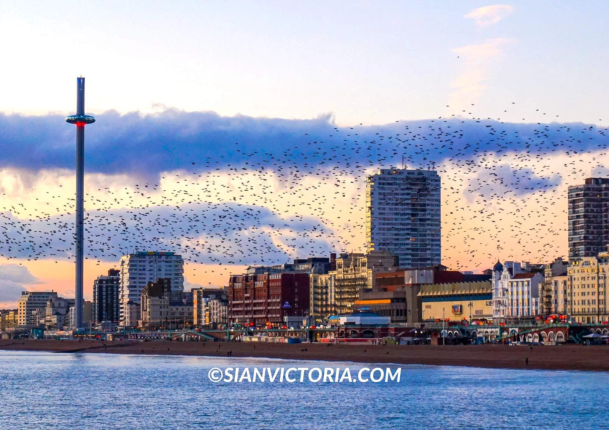 10 Thing’s to do & Reasons to Visit Brighton in Winter — Sian Victoria.