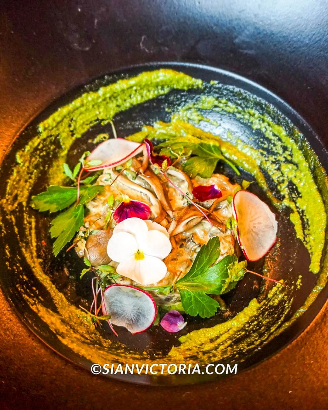 Virgin Voyages Scarlet Lady Cruise Experience Review — Sian Victoria.