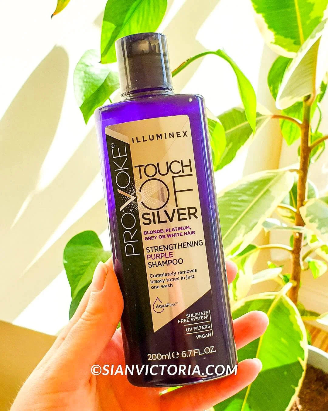 Before & After: 7 Best Purple Silver Ash Hair Shampoo — Sian Victoria.