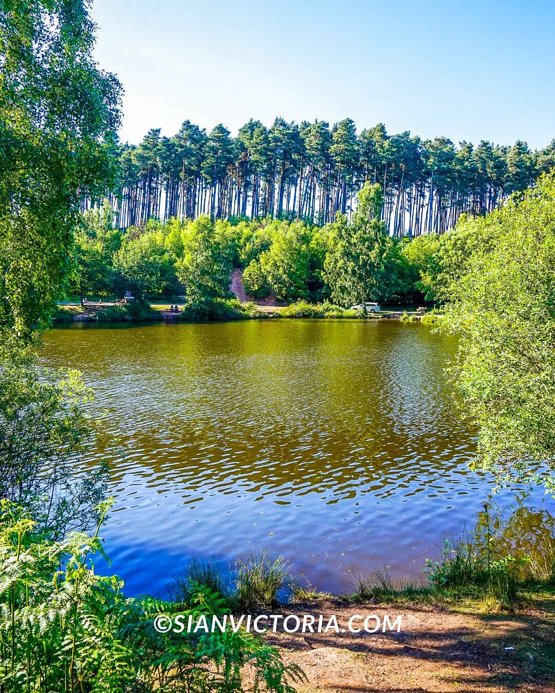 15 Best Walking Trails & Nature Reserves in Midlands — Sian Victoria.