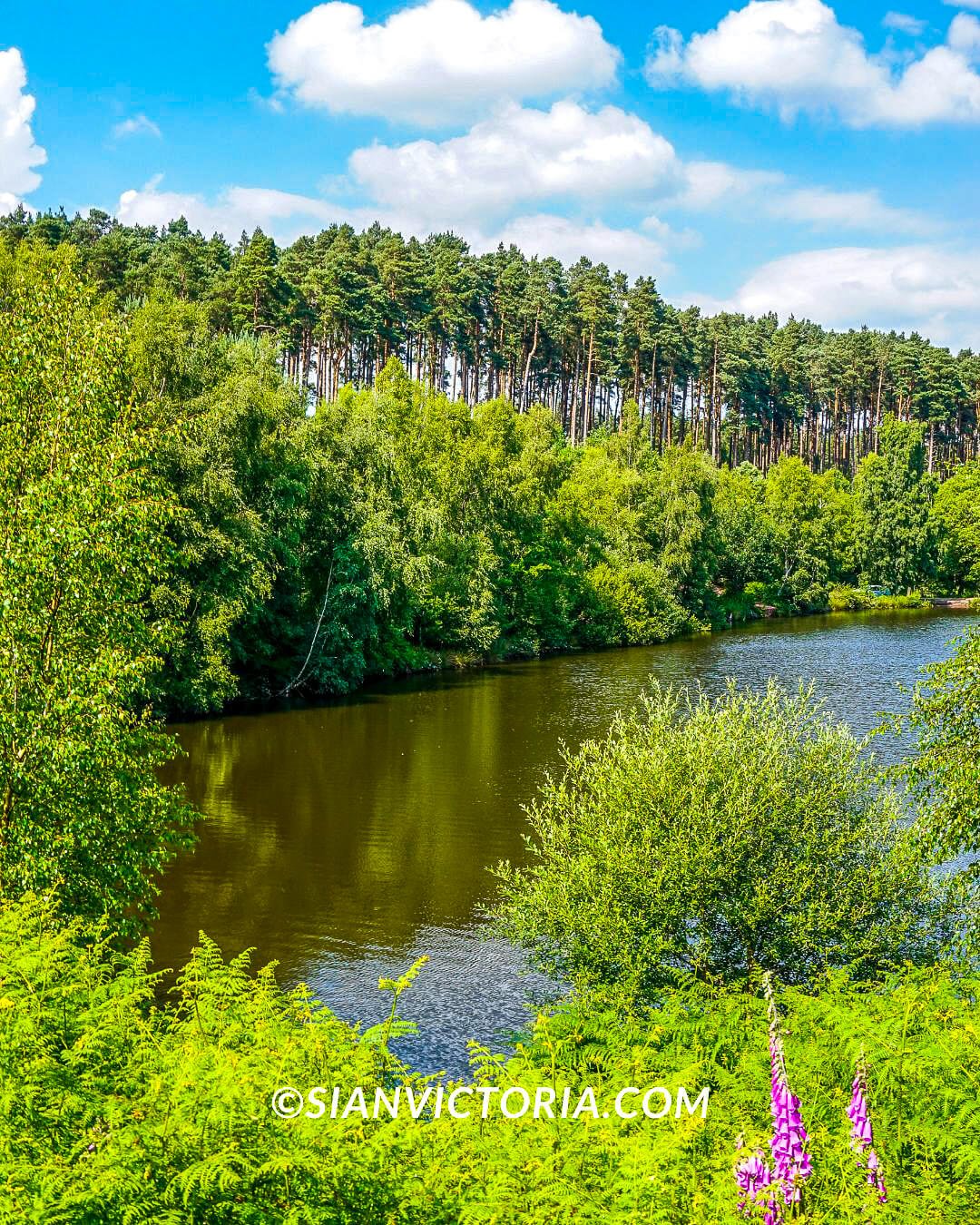 15 Best Walking Trails & Nature Reserves in Midlands — Sian Victoria.